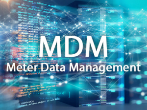 Meter Data Management (MDM)